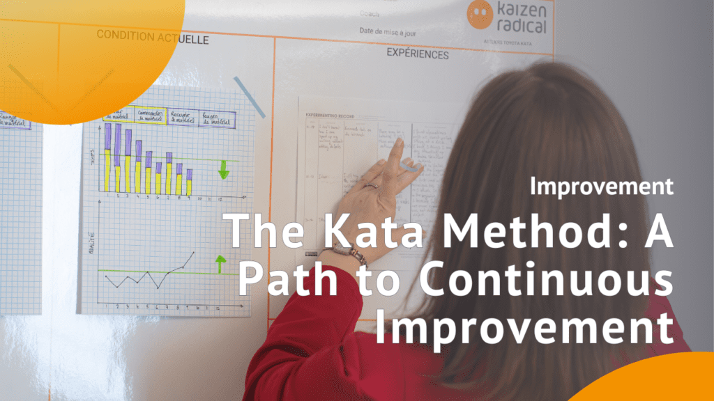 Kaizen Radical